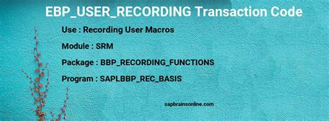 EBP USER RECORDING SAP Tcode For Recording User Macros