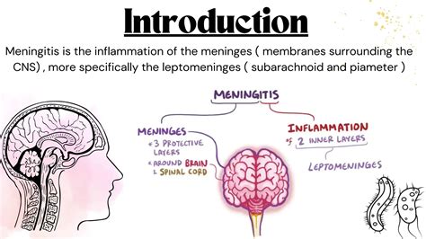 Differential Diagnosis Of Types Of Meningitis Pdf