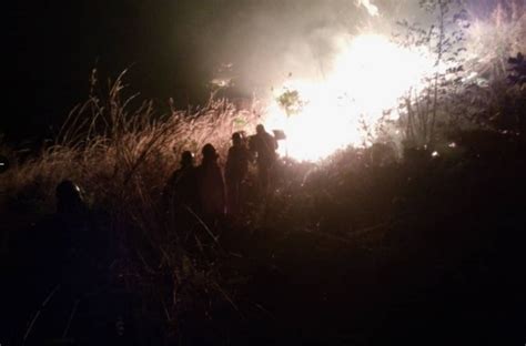Se Registró Otro Incendio Forestal En Henri Pittier En Maracay