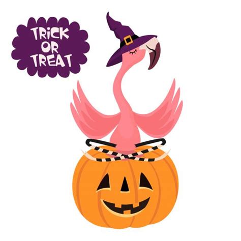 60 Horror Flamingo Stock Illustrations Royalty Free Vector Graphics