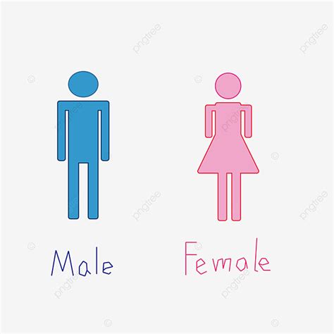 男洗手間 洗手間 男洗手間 女廁向量圖案素材免費下載，png，eps和ai素材下載 Pngtree