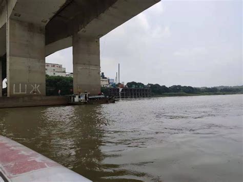 Adcp现场实用案例 知乎