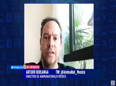 Caso Huellitas Adoptó A Un Perro Sólo Para Matarlo Imagen Radio 90 5