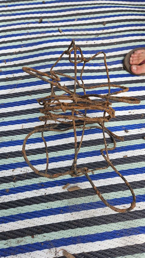 Wire Trap Think With Barbed Wire Wrapped Around It Rwhatisthisthing