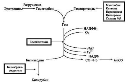 Основы_клинической_биохимии_Лелевич_С_В_и_др_ - Стр 7
