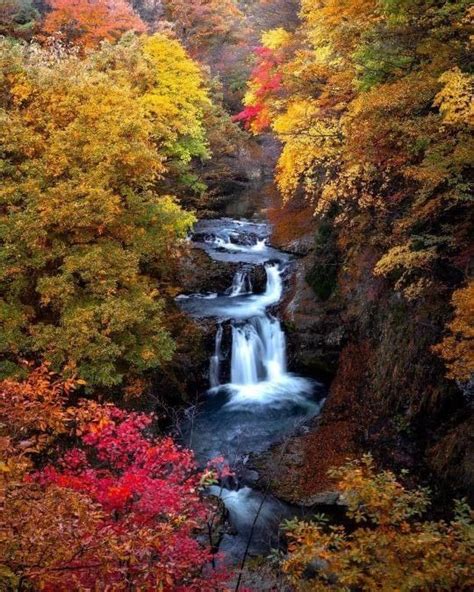 Colorful Fall Waterfall