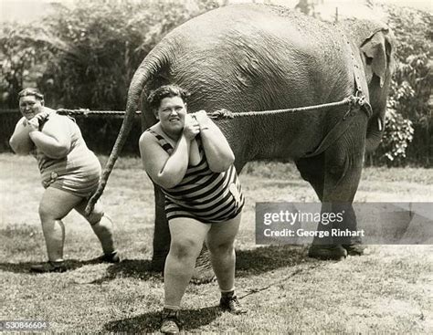 331 Leonard Bernard Photos And High Res Pictures Getty Images