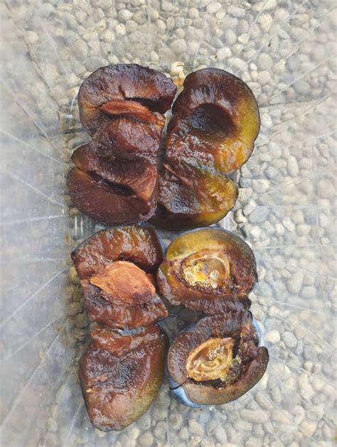 Mitől Barnul Meg A Szilvatermések Húsa