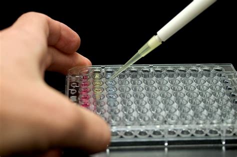Cell Guidance Systems On Linkedin Toxic Effects Of Overdosing Growth