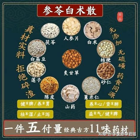 补气剂参苓白术散 知乎