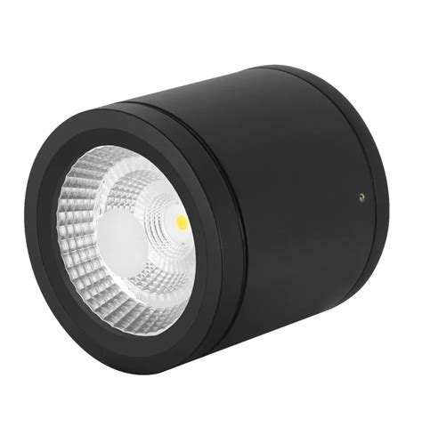 Alu Die Casting 30w Led Outdoor Cylinder Celing Surface Light Cool