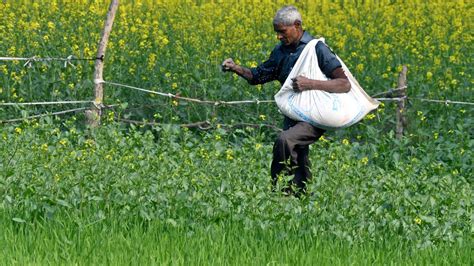 Crisil Sees Indias Urea Import Dependency Reducing To 10 15 In Near