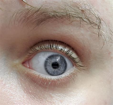 I Have Grey Eyes I Had No Idea It Was So Rare Until Someone Mentioned