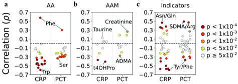 Correlations Between Amino Acids Amino Acid Metabolites And Download Scientific Diagram