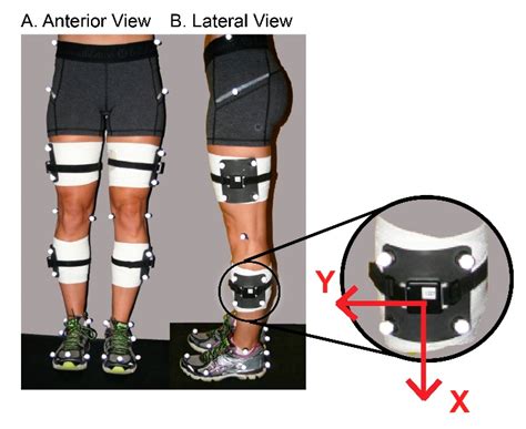 Sensors Free Full Text Inertial Sensor Angular Velocities Reflect Dynamic Knee Loading