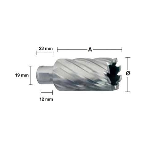 Carota Weldon 30mm ∅20mm Dalgeco