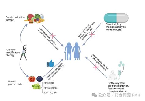 Fmh 南昌大学潘瑶博士课题组：余甘子对氧化应激诱导衰老的保护作用研究进展及应用前景 国家食用菌加工技术研发专业中心