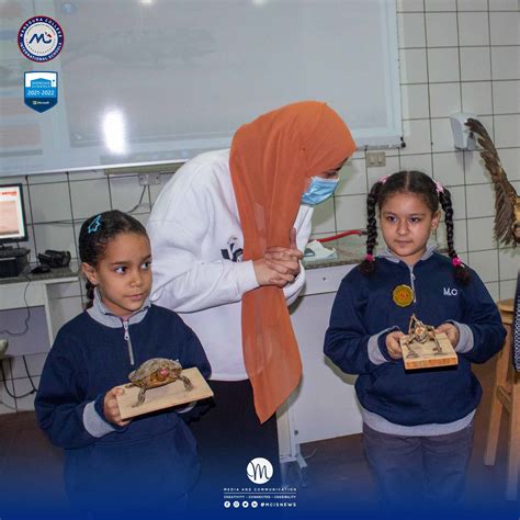 Seminar On Chameleon Mansoura College International School مدرسة