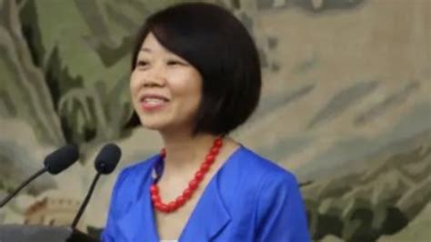 中国外交部新闻司新添女副司长 有猜是否任发言人与女战狼
