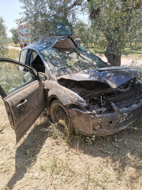 CRONACA San Ferdinando Di Puglia Auto Contro Ulivo Un Morto E Un