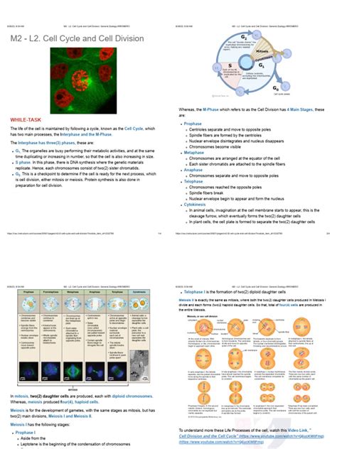 M2 L2 Cell Cycle And Cell Division Pdf Meiosis Mitosis