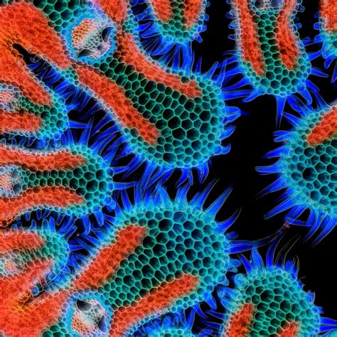 Microlensing Youtube