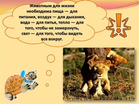 Условия для жизни животных 3 класс