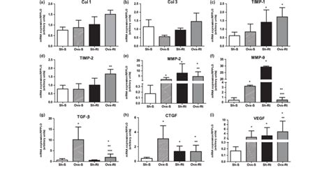 Extracellular Matrix Ecm Mrna Expression In Visceral Adipose Tissue