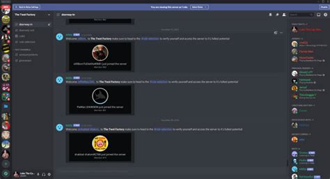 Create A Discord Server With Verification And Roles By Brodysacks Fiverr