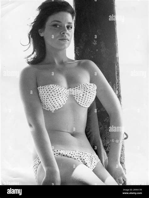 Woodcock Carmen British Model Wearing Bikini 1960s ADDITIONAL