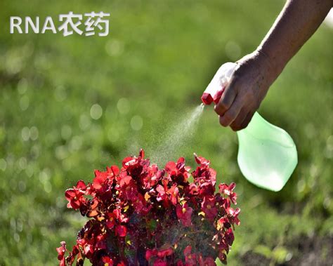 湖南麦肯伟科技有限公司