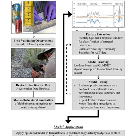 Stepwise Field Data Collection Supervised Model Validation Model