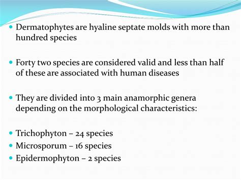 Ppt Dermatophytes Powerpoint Presentation Free Download Id8951660