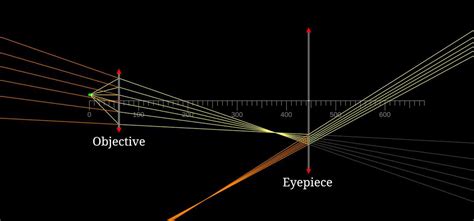 Compound Microscope Ray Optics Simulation