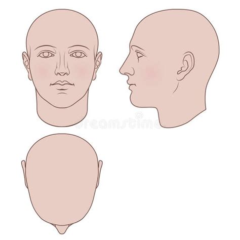 Head Outline Stock Illustrations 348100 Head Outline Stock