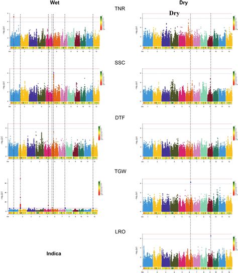 Multi‐trait Gwas For Experimental Populations Of The Indica Varietal Download Scientific