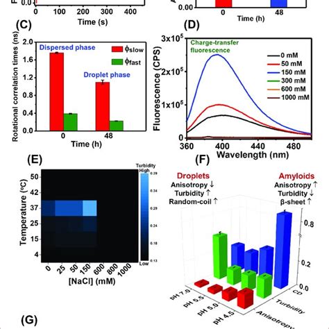 Two Pathways Of Prion Amyloid Formation Conventional Protein