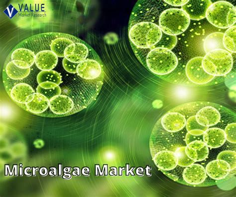 Microalgae Microalgae Market Growth Food Pharmaceuticals