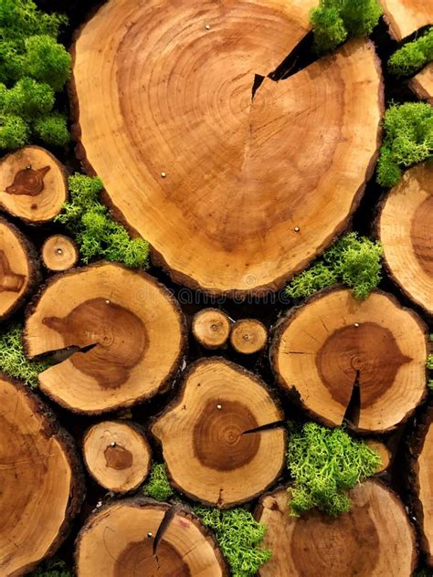 Decore Background Stock Illustrations 1460 Decore Background Stock Illustrations Vectors