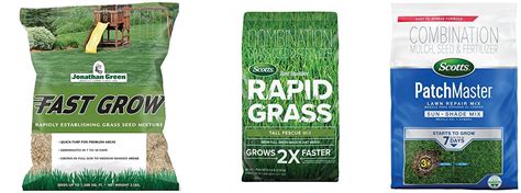 Top 5 Quick Grow Grass Seed Reviews Fast Growth And Results