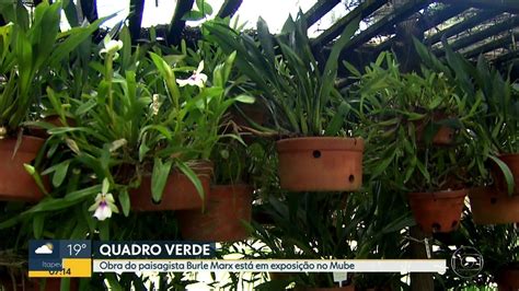Bom Dia Sp Edição De Sexta Feira 15022019 Bom Dia Sp G1