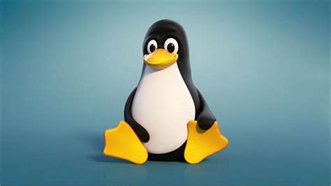 Introduction To Binary And Source Packages