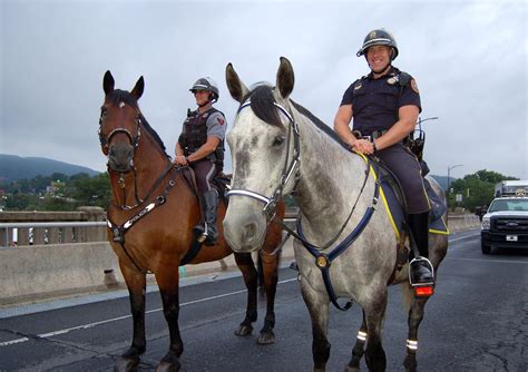 Officer Greg Friends Of The Bethlehem Mounted Police Facebook