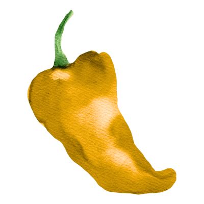 Valentina Hot Sauce Xtra Hot Enkelt Chilihouse
