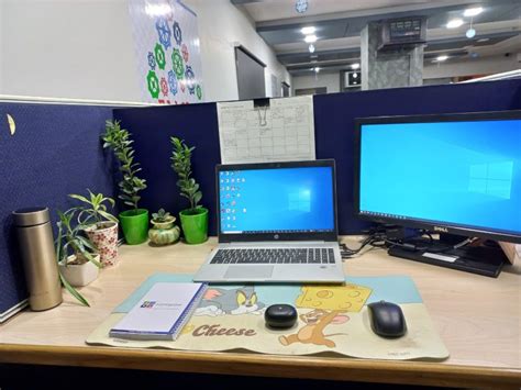 Officelife Productivityboost Greeneryinoffice Muhammad Usama Yameen