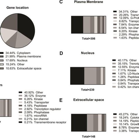 Identification Of Predicted Cellular Localization Of Dysregulated Genes