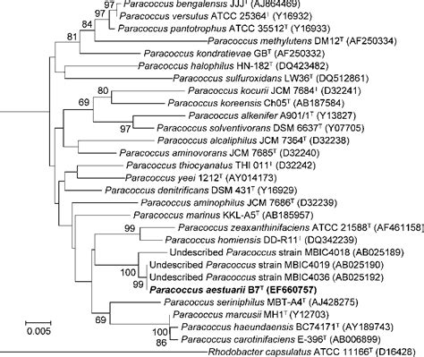 Figure 1 From Paracoccus Aestuarii Sp Nov Isolated From Tidal Flat