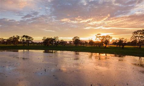 Enhancing Climate Adaptation Responses In Regional Nrm Planning By