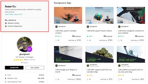 Fiverr Vs Fiverr Pro 2025 Is Pro Ever Worth The Investment